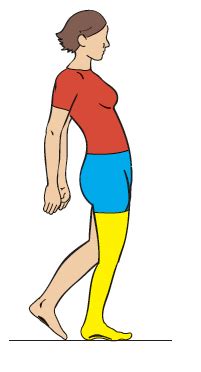 Gait Flashcards Quizlet