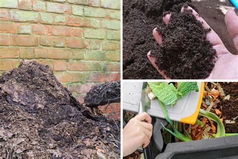 Different Composting Methods A Comprehensive Guide Patient Gardener