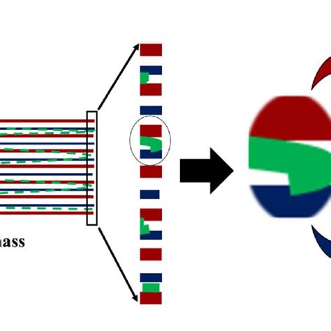 Major Components Of Plant Biomass Download Scientific Diagram