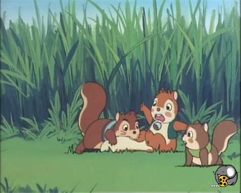 انیمیشن بنر سنجاب کوچولو قسمت ۱۰ فیلو