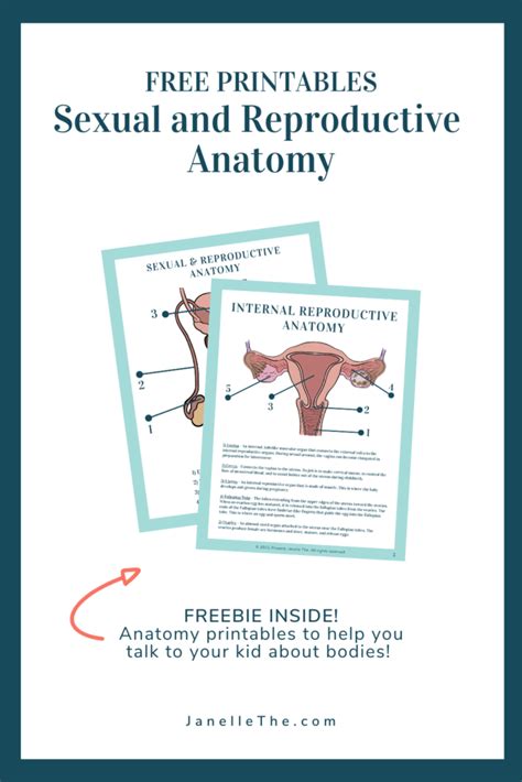 Why Its So Important To Use Anatomically Correct Language With Your