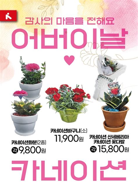 ️사랑하는 부모님께 감사의 마음을 전하세요 ️ 5월 8일 어버이날을 기념하여 카네이션을 준비했습니다 🌹카네이션 화분 9 800 뉴 월드마트 이도점 Band