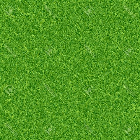 Grass Texture Vector At Collection Of Grass Texture Vector Free For Personal Use