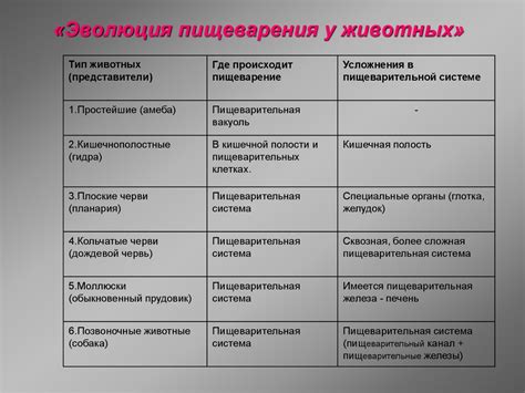 Питание и пищеварение животных презентация онлайн