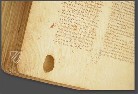 Codex Vaticanus B Ziereis Facsimiles