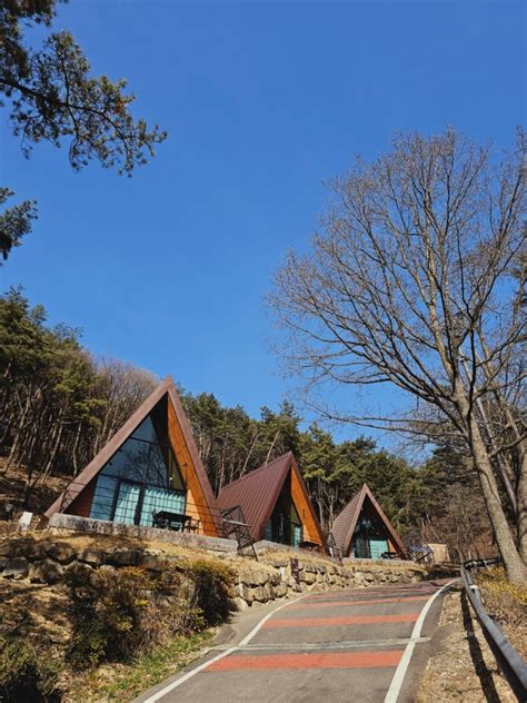 송정자연휴양림에서 친구들과 하룻밤 사이트 간략 정보 포함 네이버 블로그