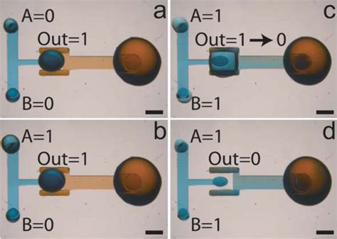Figure From Microfluidic Logic Gates And Timers Semantic Scholar