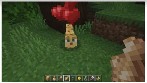 Ultimate Guide To Survive A Creeper Explosion Brightchamps Blog