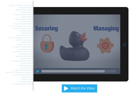 what is black duck hub at maria andra blog