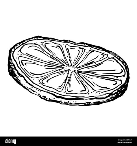 Lemon Slice Line Drawing