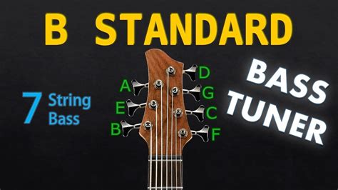 What Is String Bass Tuning At Thomas Russo Blog