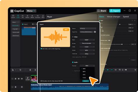 Audio Converter Quick And Easy Conversion