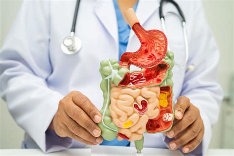 Anorexia Quais São As Causas E Consequências