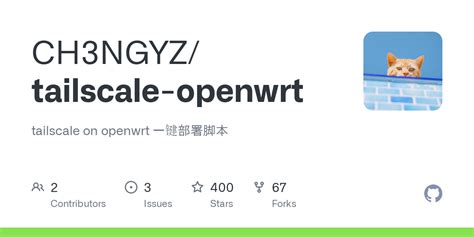Tailscale Openwrt Install Sh At Chinese Mainland CH3NGYZ Tailscale Openwrt GitHub