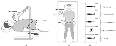 Illustration Of Hrv Measurement Using Ir Uwb Radar A Side View The