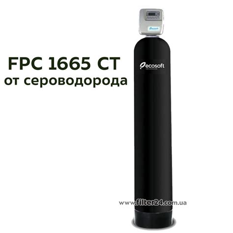 Вугільний фільтр від сірководню Ecosoft Fpc 1665ct купити за найкращою ціною Ua