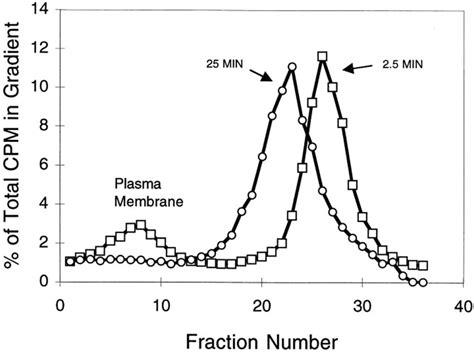 Separation Of Ees And Res By Optiprep Gradient Centrifugation Mdck Download Scientific Diagram