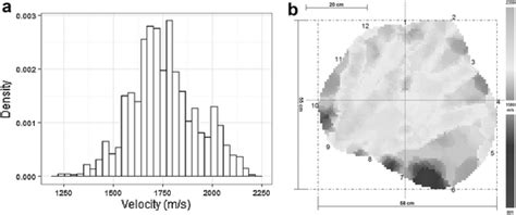 velocity values density distribution in a healthy tree tomogram a