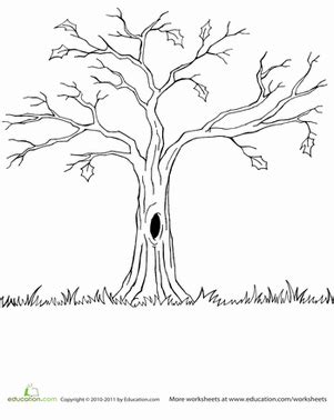 Bare Tree Worksheet Education Com