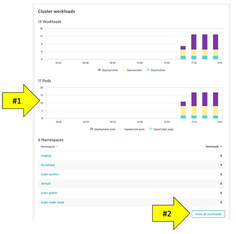 Review Kubernetes Within Dynatrace Mp Devops Series