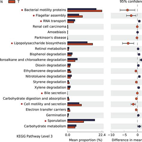Functional Pathways Predicted With Tumor And Normal Tissue Enriched