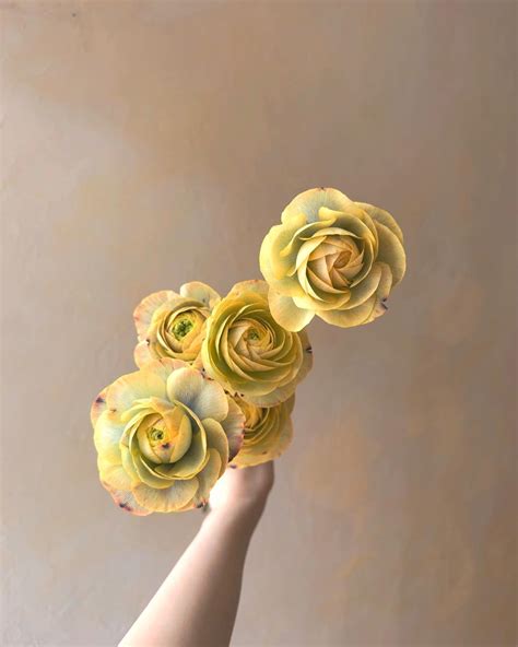 슈플레르 플라워스튜디오 ㅣ 강남꽃집•서초동꽃집•양재역꽃집•플라워레슨•플라워클래스•플로리스트학원•웨딩부케ㅣ 🌿 슈플레르 플라워스튜디오 지금은 요정들의 시즌 🍃🧚🏻‍♀️💛💛