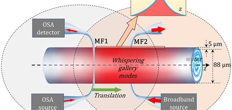 Breaking The Boundaries Of Precision In Optical Microresonator