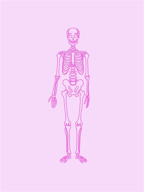 Pink Skeleton Sticker For Sale By Lilystevenson Redbubble