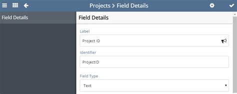 Define A Record Id Using Autonumber Softools