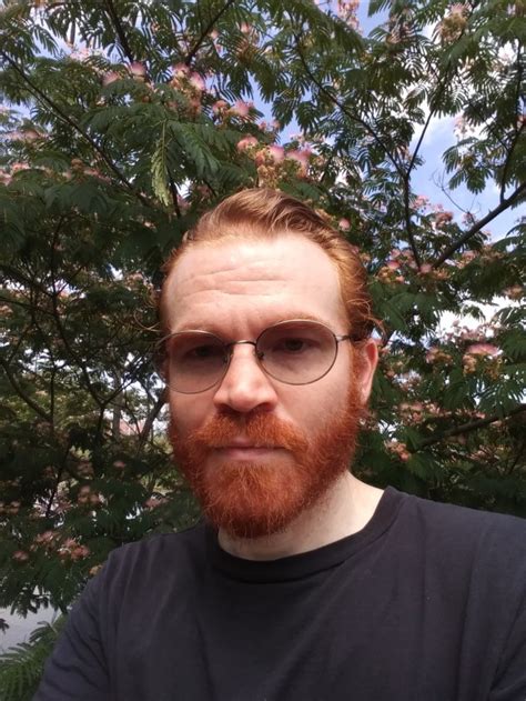 Pretty Trees On Tumblr