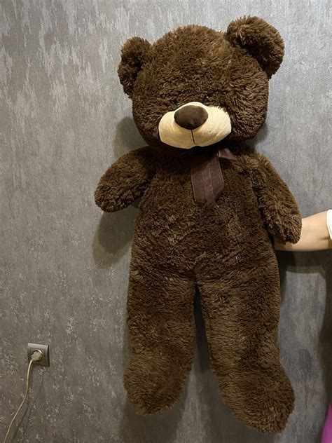 Мʼяка іграшка ведмедик 100 грн Мякі тварини Софіївська Борщагівка