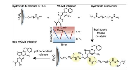 Ph Sensitive O6 Benzylguanosine Polymer Modified Magnetic Nanoparticles