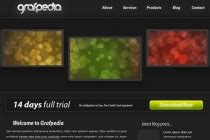 Tutorial On How To Create A Software Layout Photoshop Tutorials Tutorial King