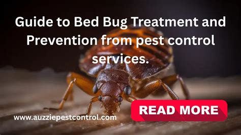 Guide To Bed Bug Treatment And Prevention From Pest Control Services Auzzie Pest Control