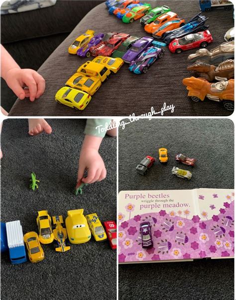 Colour Sorting Activity