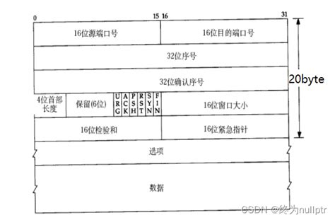 传输层—tcp原理详解syn标志位 Csdn博客