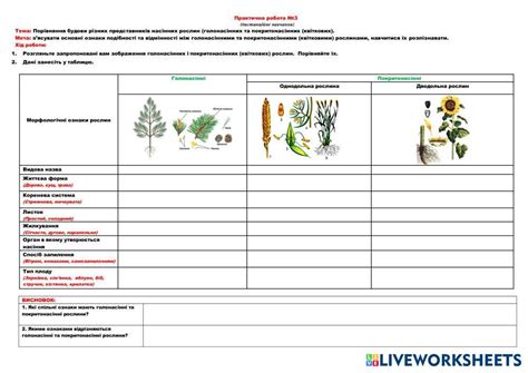 8032244 Практична робота №3 Порівняння будови різних