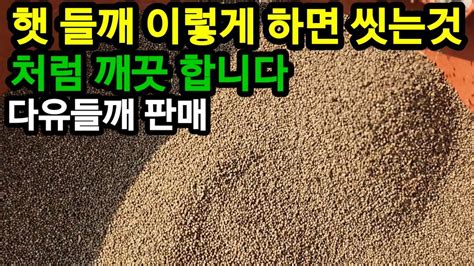 2022년 햇 다유들깨 씨앗 예약판매 합니다 이렇게 깨끗히 손질해야 기름이 많이 나옵니다 Youtube