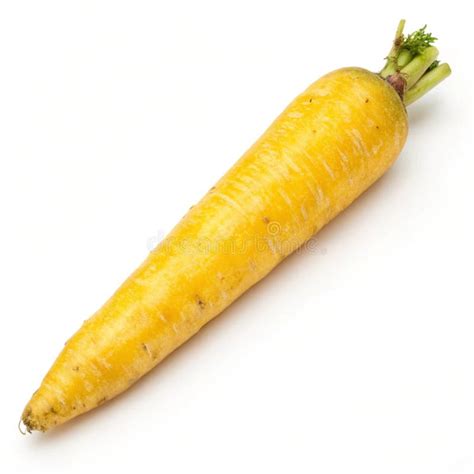 Piquant Yellow Carrot Isolated On White Background Stock Illustration