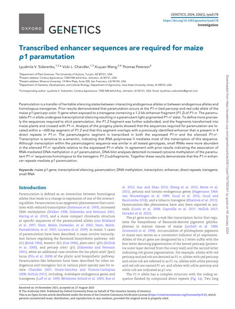 Pdf Transcribed Enhancer Sequences Are Required For Maize P1 Paramutation