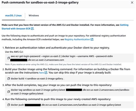 elastic container registry ecr aws cli commands the cloudly engineer
