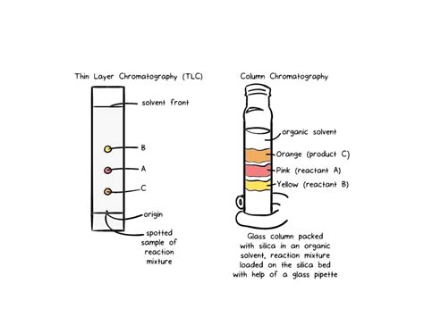 Lesson 03 Upstream And Downstream Processing Pptx