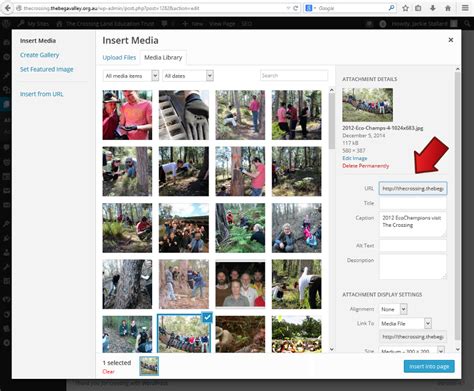 How To Add Pictures In Wordpress Webhive
