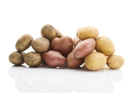 10 Tips For Growing Potatoes In A Small Garden — Fertilizer Daily