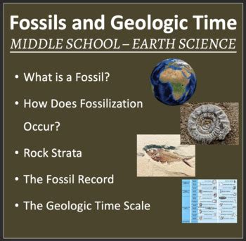 Fossils And Geologic Time MS Earth Science Google Slides And PowerPoint Lesson