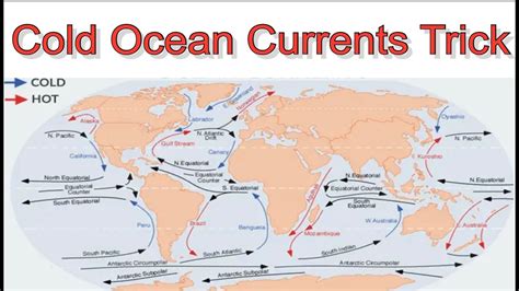 Ocean Currents Warm And Cold
