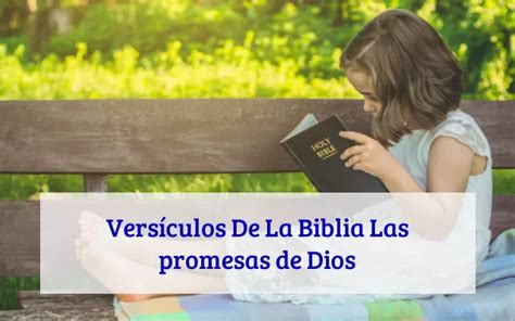 81 Versículos De La Biblia Las Promesas De Dios