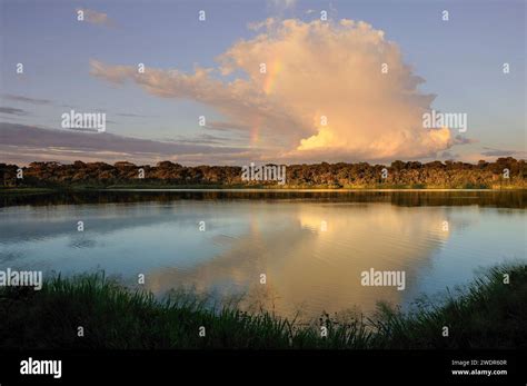 Anangurocha Lake Lagoon At Napo Wildlife Center Rainforest Amazonia