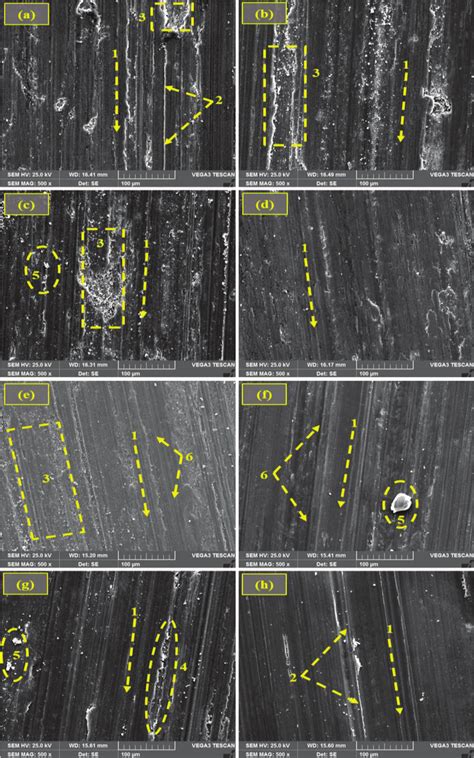 Wear Surface Morphology Of A Al 6113 As Cast B Al 6113 Ht C