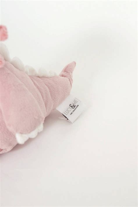 The Lucy Dinosaur Lucy And Me